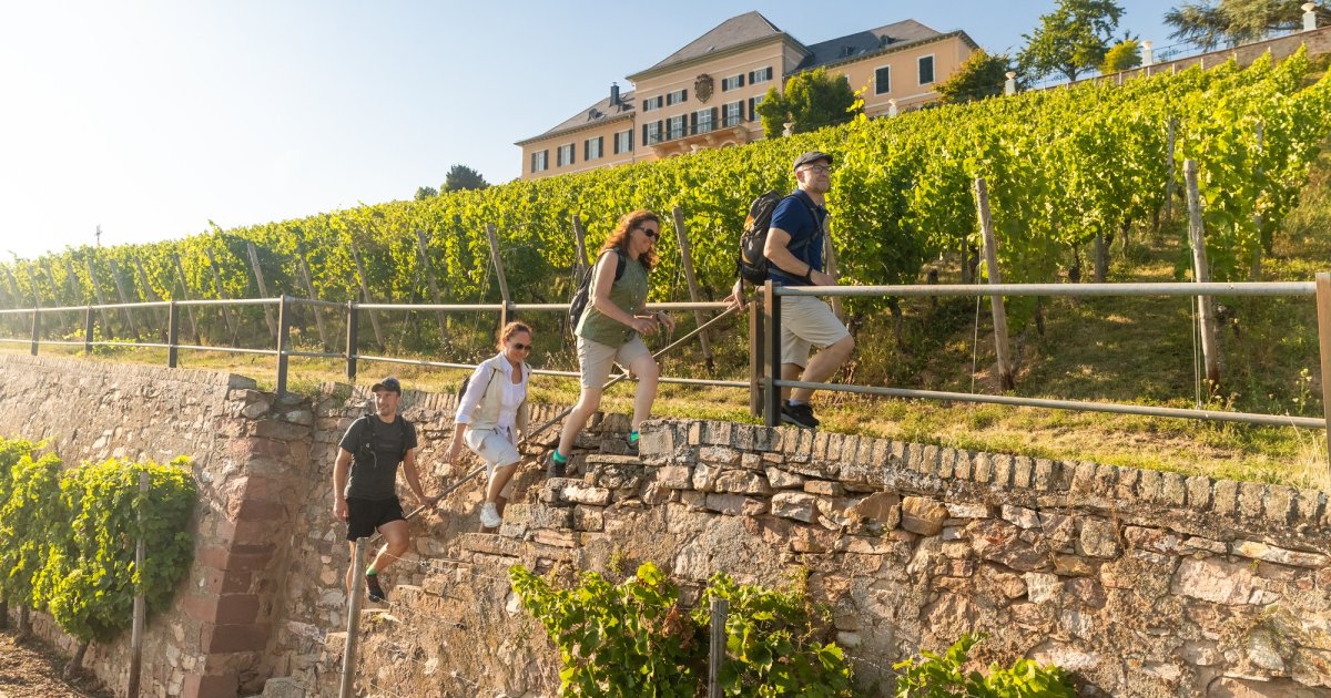 „Speck-Weg-Tour“ | Geisenheim