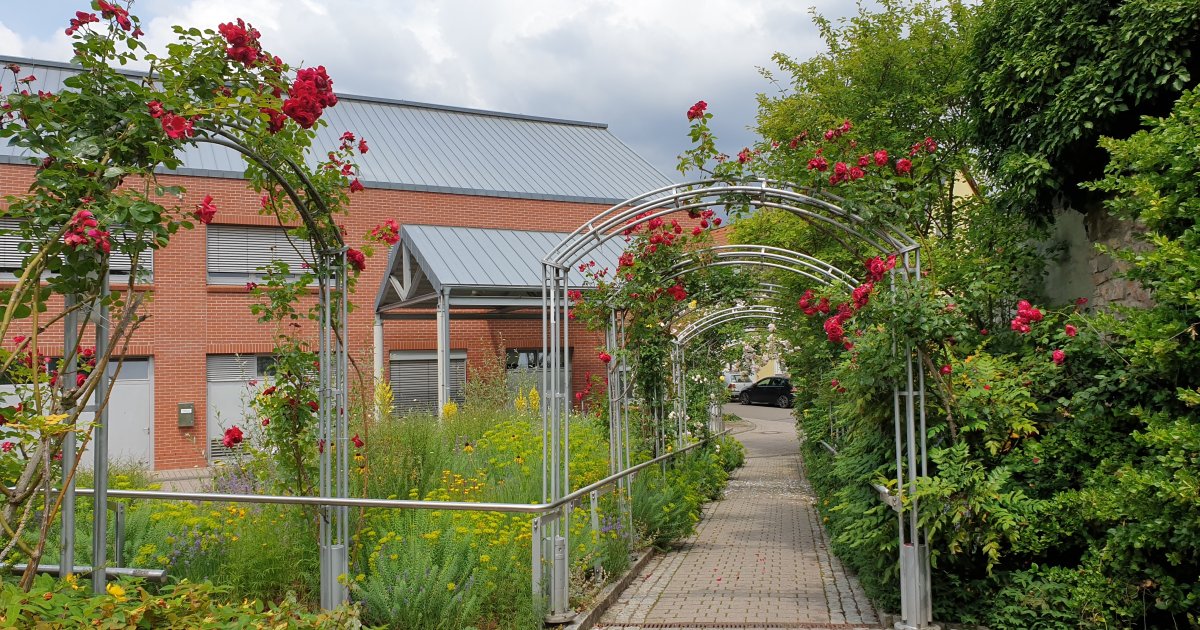 Infowoche digital: Studieren an der Hochschule Geisenheim | Geisenheim